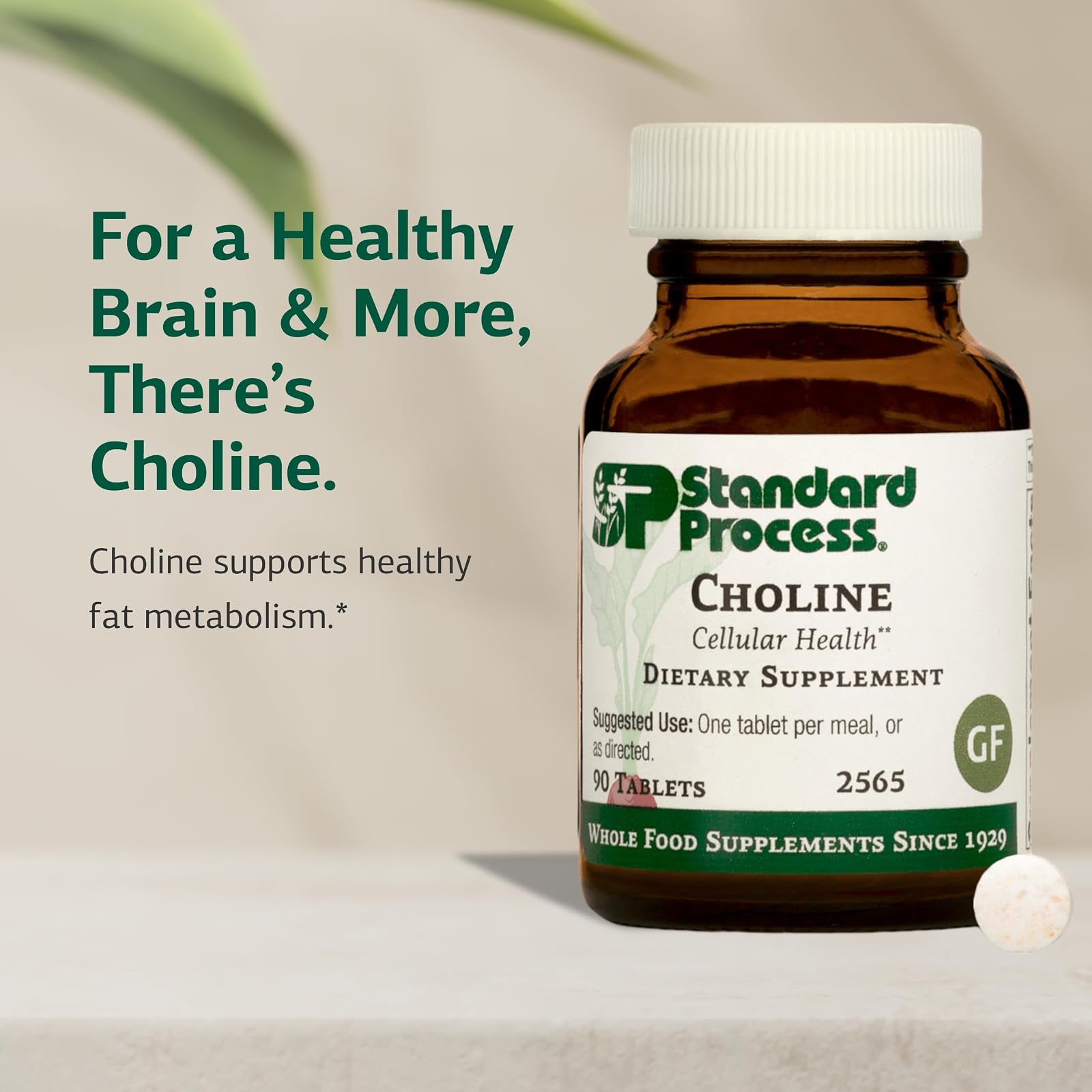 whole food multivitamin for energy