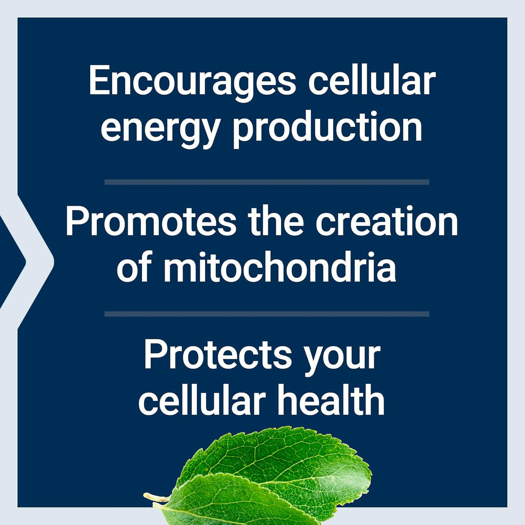 Whole food multivitamin for energy