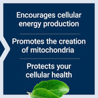 Whole food multivitamin for energy
