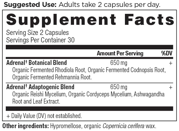 whole food multivitamin for energy