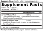 whole food multivitamin for energy