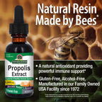 whole food multivitamin for energy