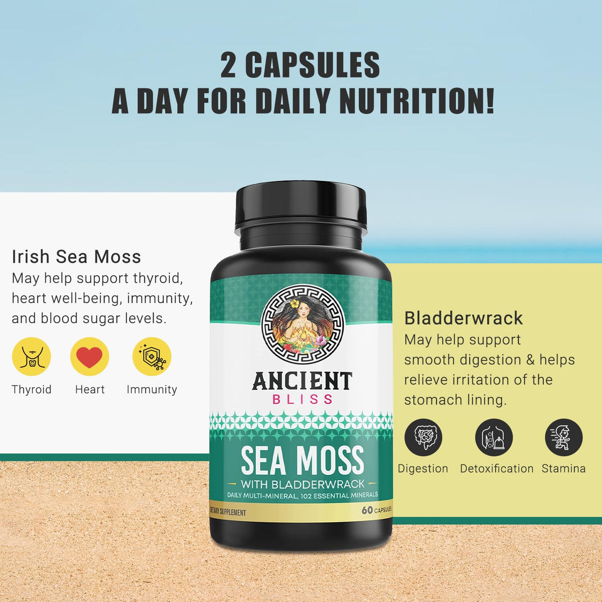 whole food multivitamin for energy