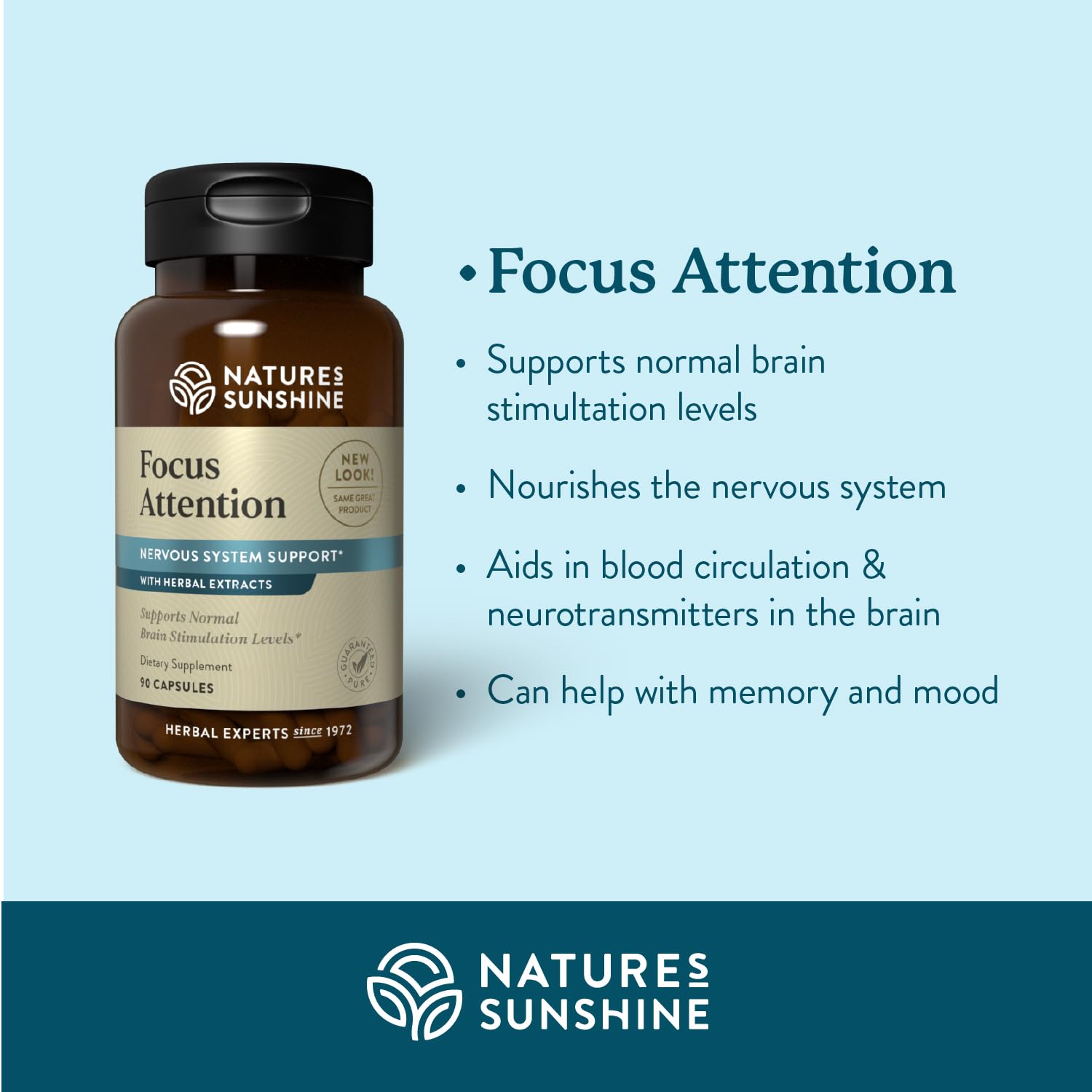 whole food multivitamin for energy