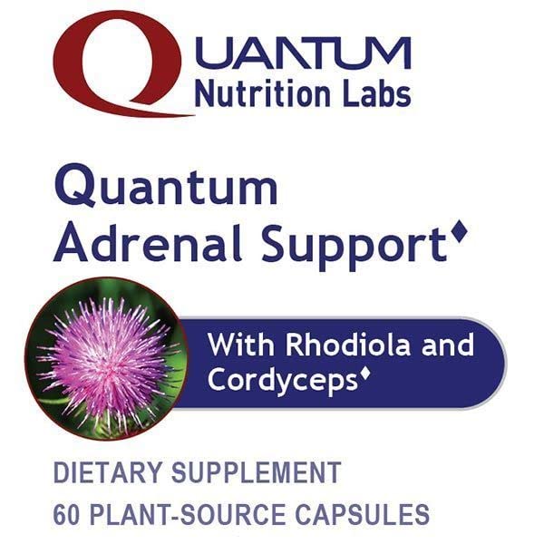 whole food multivitamin for energy
