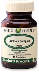 whole food multivitamin for gut health