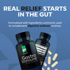 whole food multivitamin for gut health