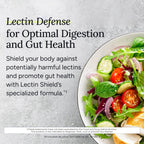 whole food multivitamin for gut support