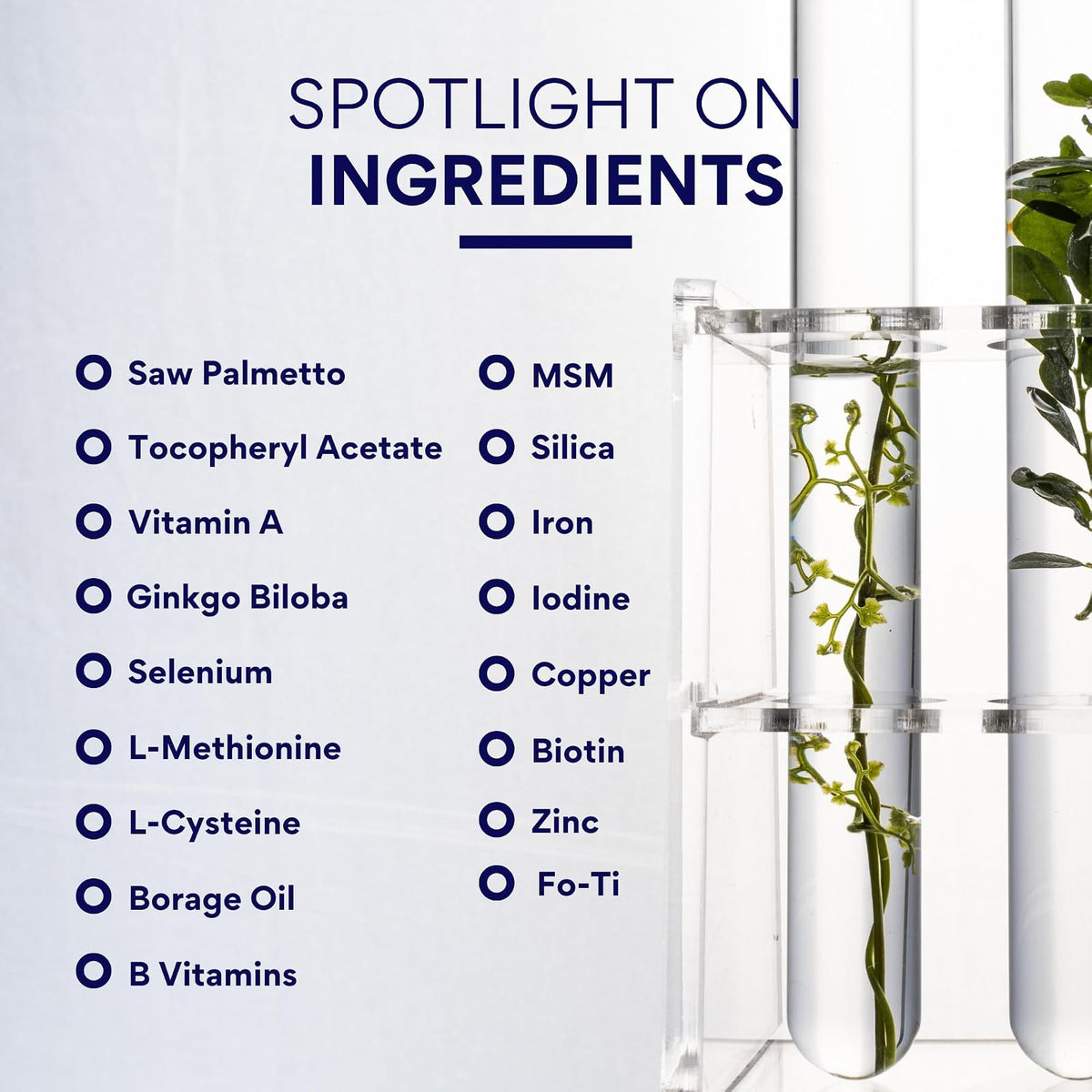 whole food multivitamin for hair health