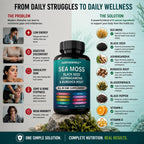 whole food multivitamin for healthy living