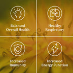 whole food multivitamin for healthy living