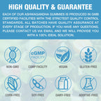whole food multivitamin for immune health