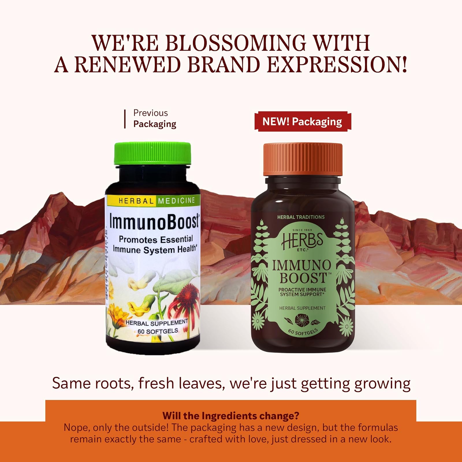 whole food multivitamin for immune support