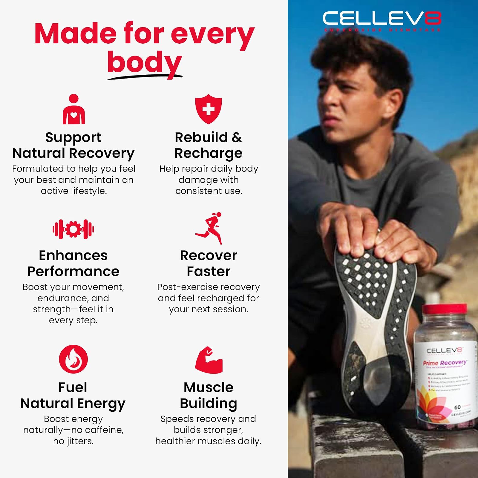 whole food multivitamin for joint health