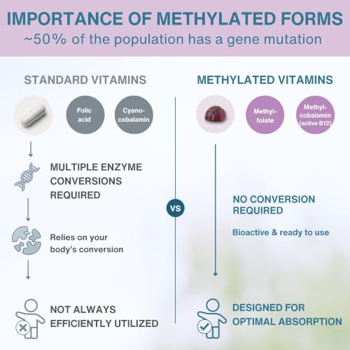 whole food multivitamin for kids