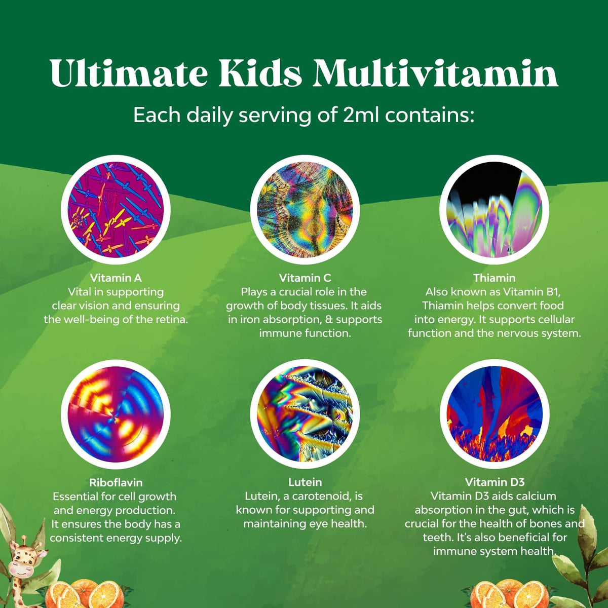 whole food multivitamin for kids