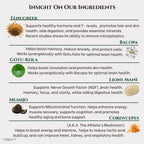 whole food multivitamin for kids