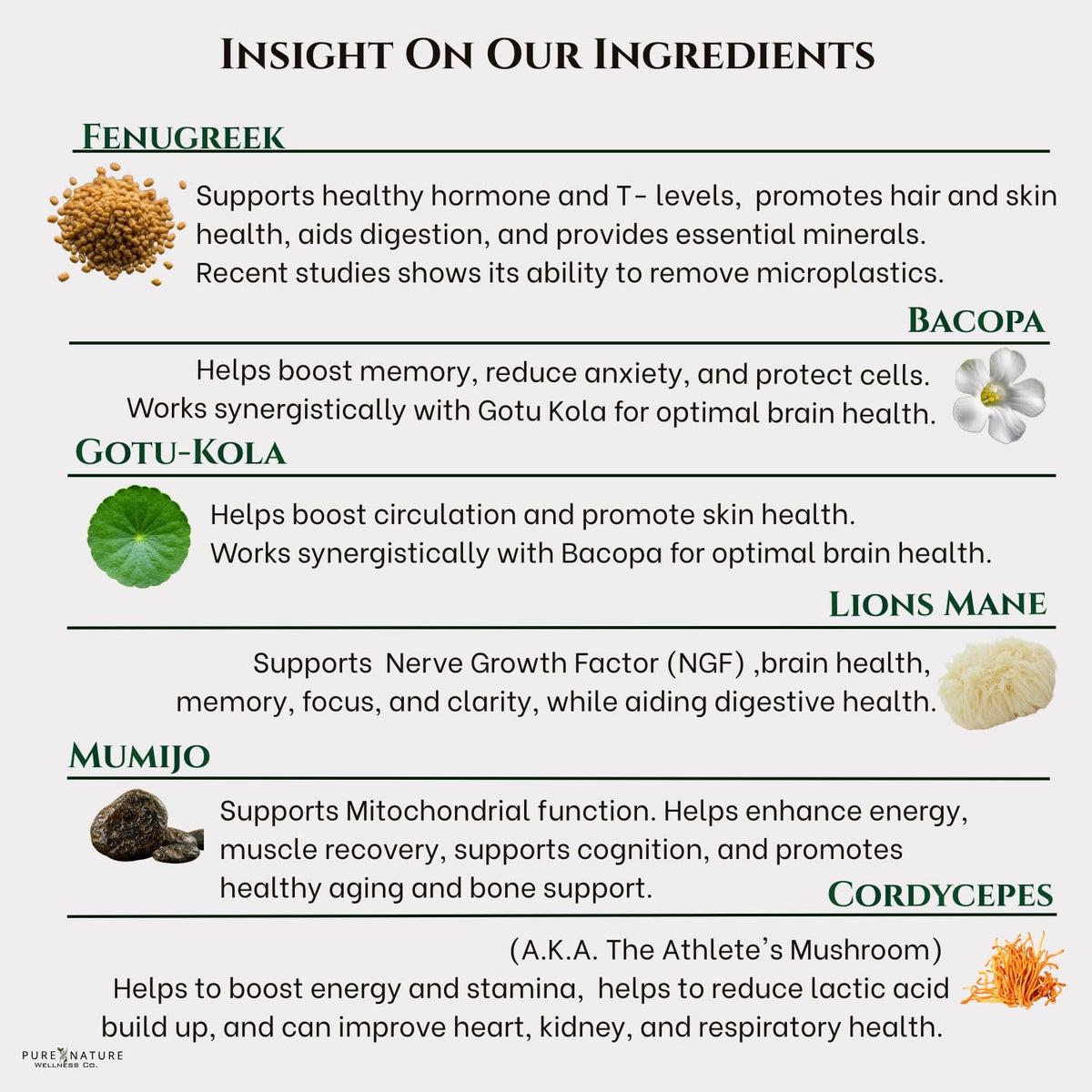 whole food multivitamin for kids