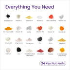 whole food multivitamin for lactation