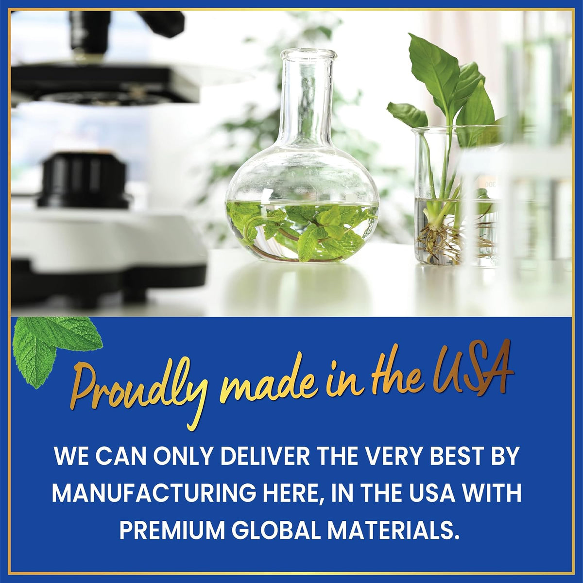 whole food multivitamin for men