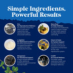 whole food multivitamin for men