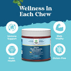 whole food multivitamin for men