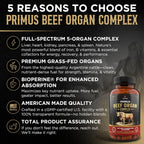 whole food multivitamin for men