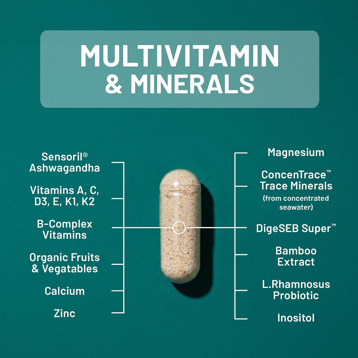 whole food multivitamin for men