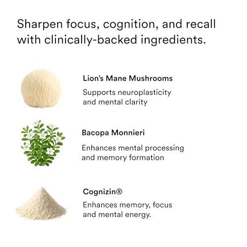 whole food multivitamin for mental clarity