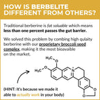 whole food multivitamin for natural energy