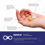 whole food multivitamin for natural energy