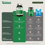 whole food multivitamin for natural energy