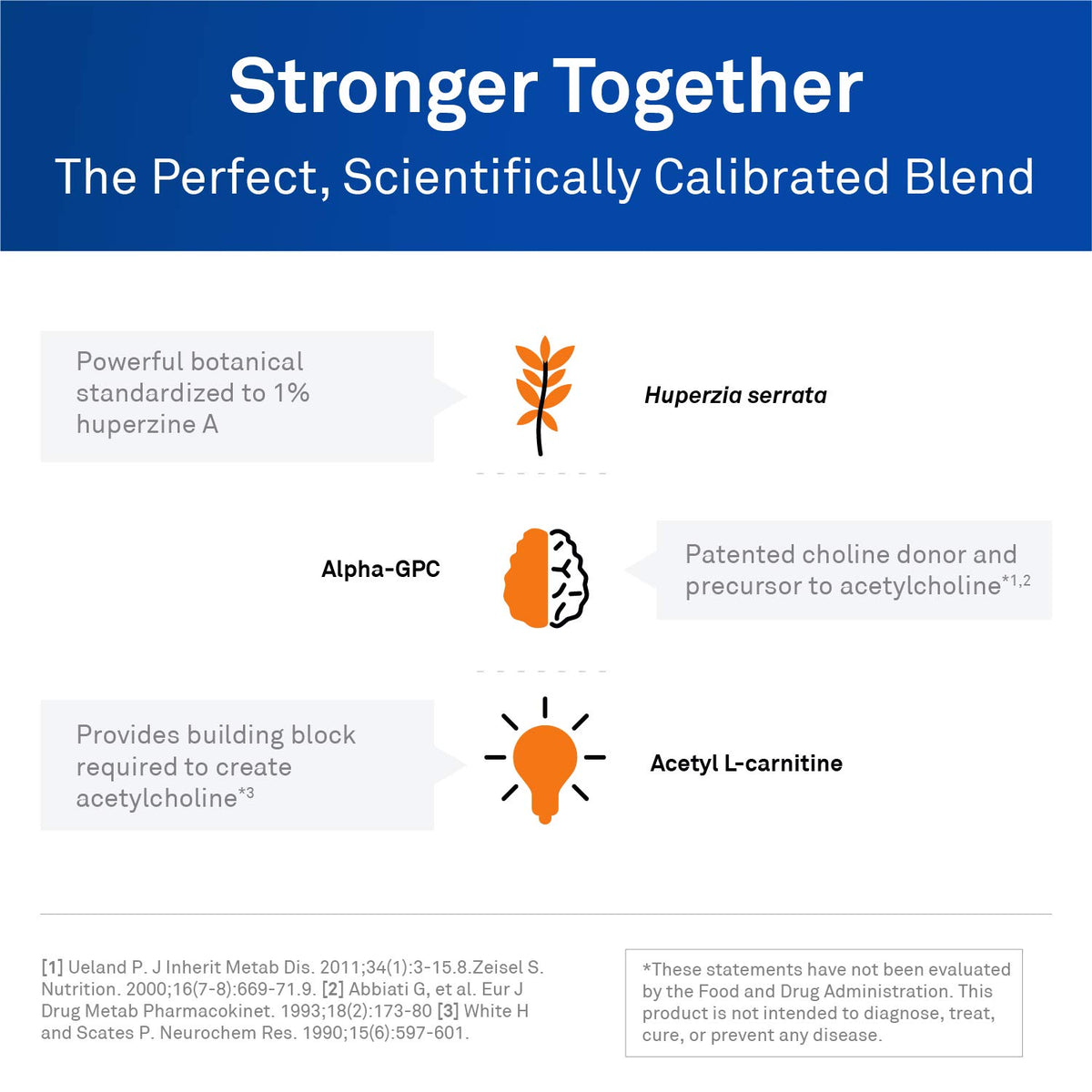 Whole food multivitamin for natural energy