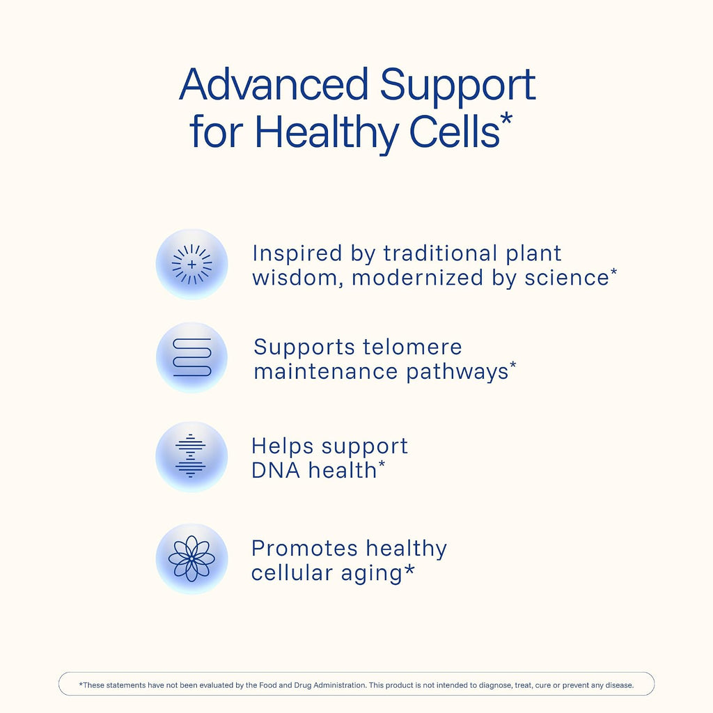 whole food multivitamin for natural energy