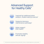 whole food multivitamin for natural energy