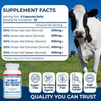 whole food multivitamin for optimal health
