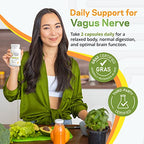 whole food multivitamin for optimal health