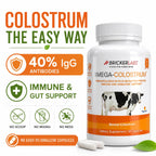 whole food multivitamin for optimal health