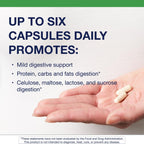 whole food multivitamin for optimal nutrition