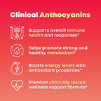 whole food multivitamin for optimal nutrition