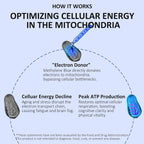Whole food multivitamin for optimal nutrition