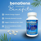 whole food multivitamin for optimal nutrition