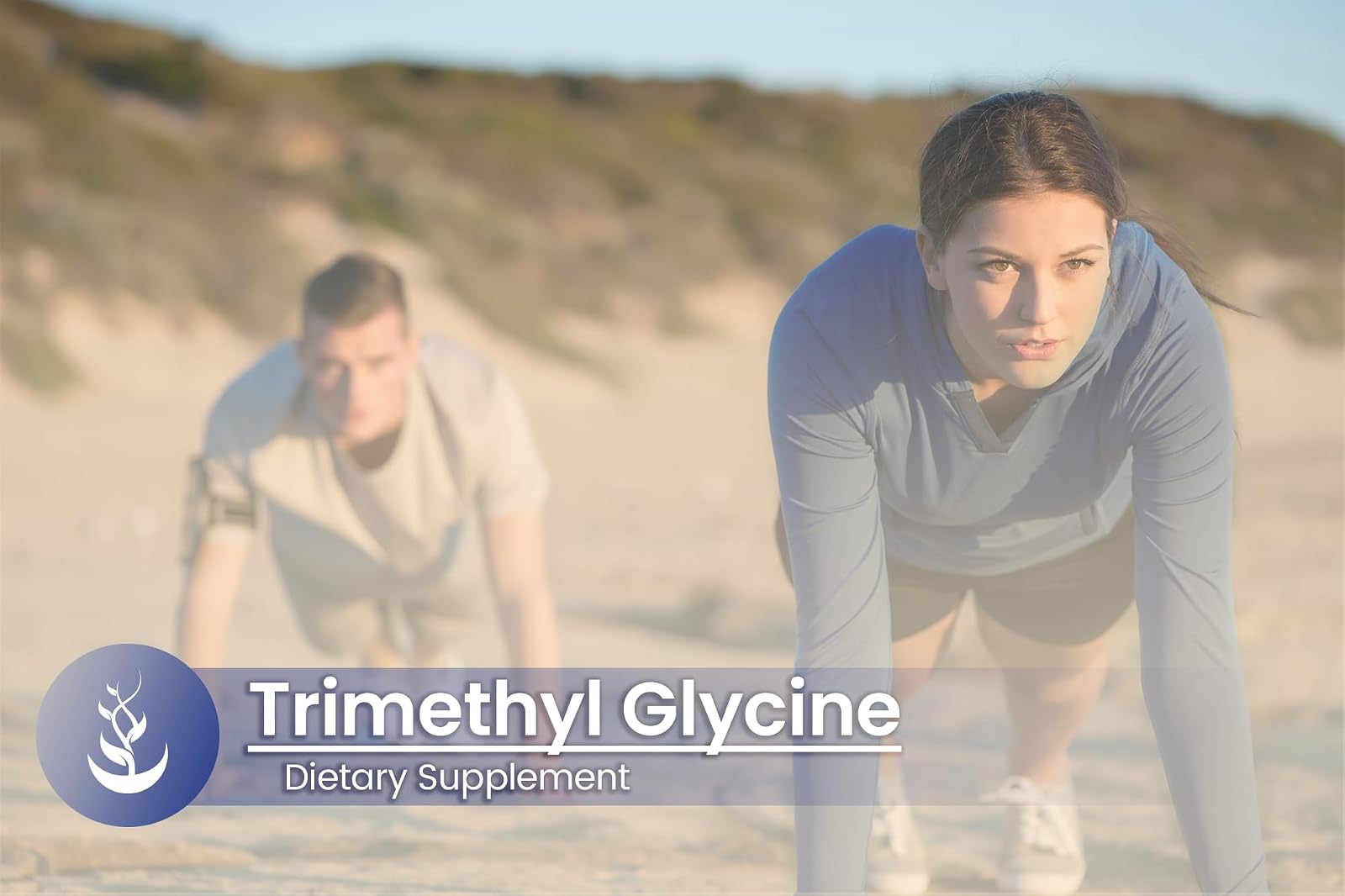 Whole food multivitamin for optimal wellness