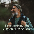 whole food multivitamin for prostate health