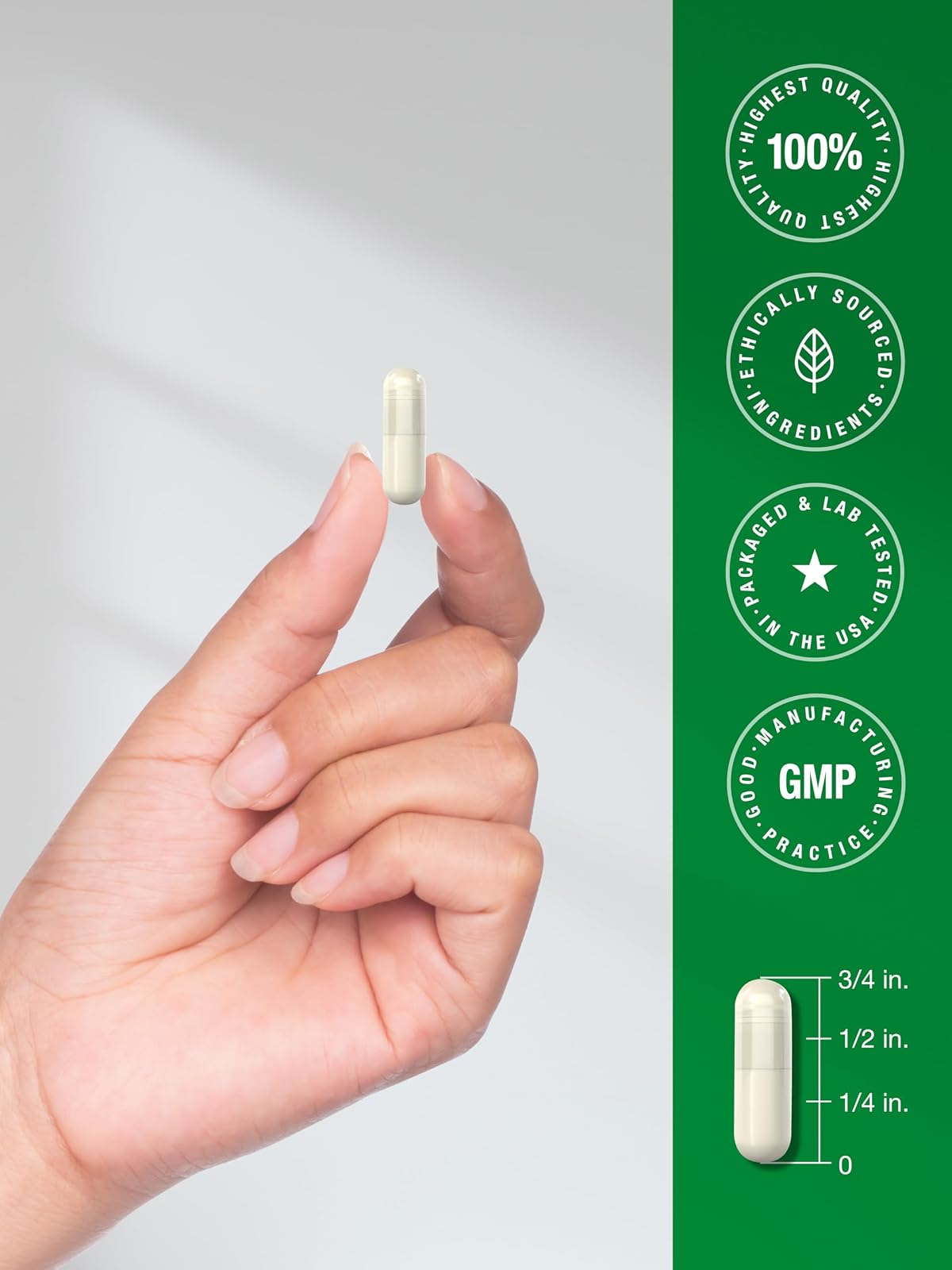 whole food multivitamin for seniors