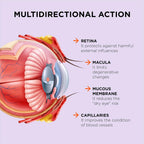 whole food multivitamin for seniors