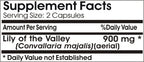 whole food multivitamin for seniors