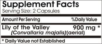 whole food multivitamin for seniors