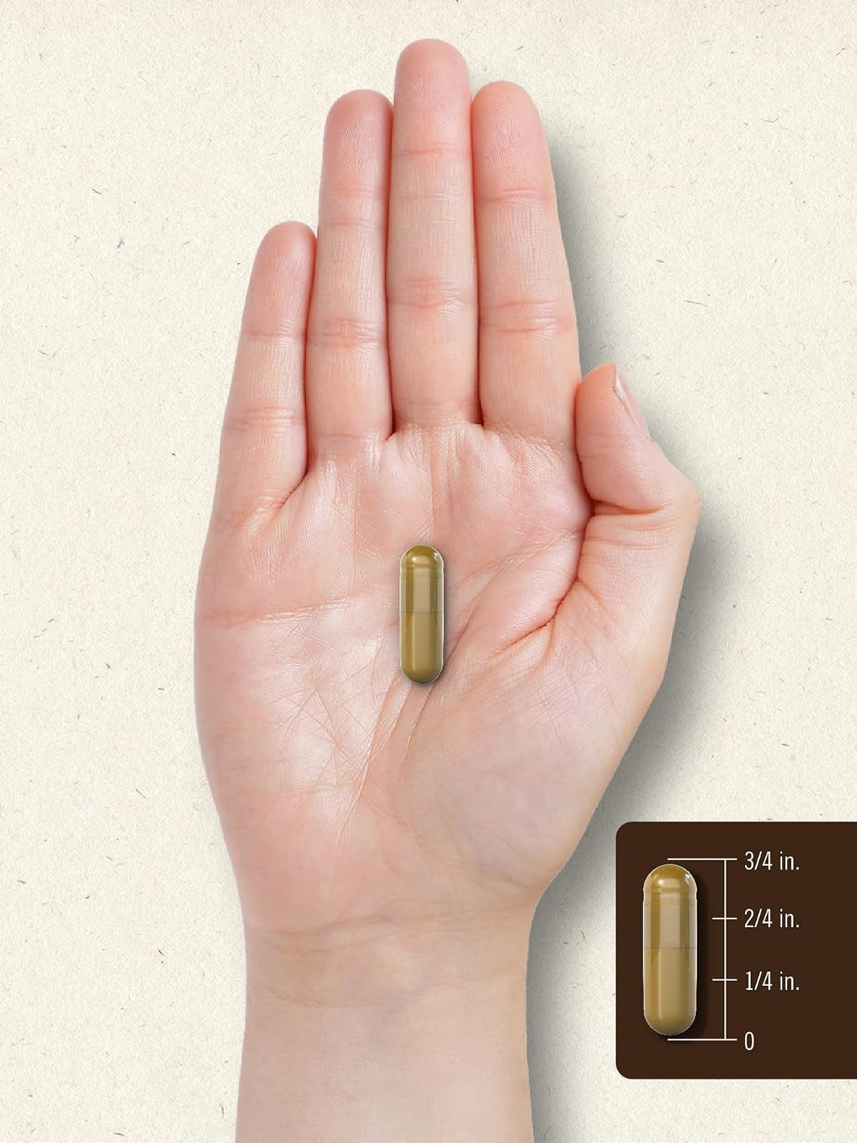 whole food multivitamin for seniors