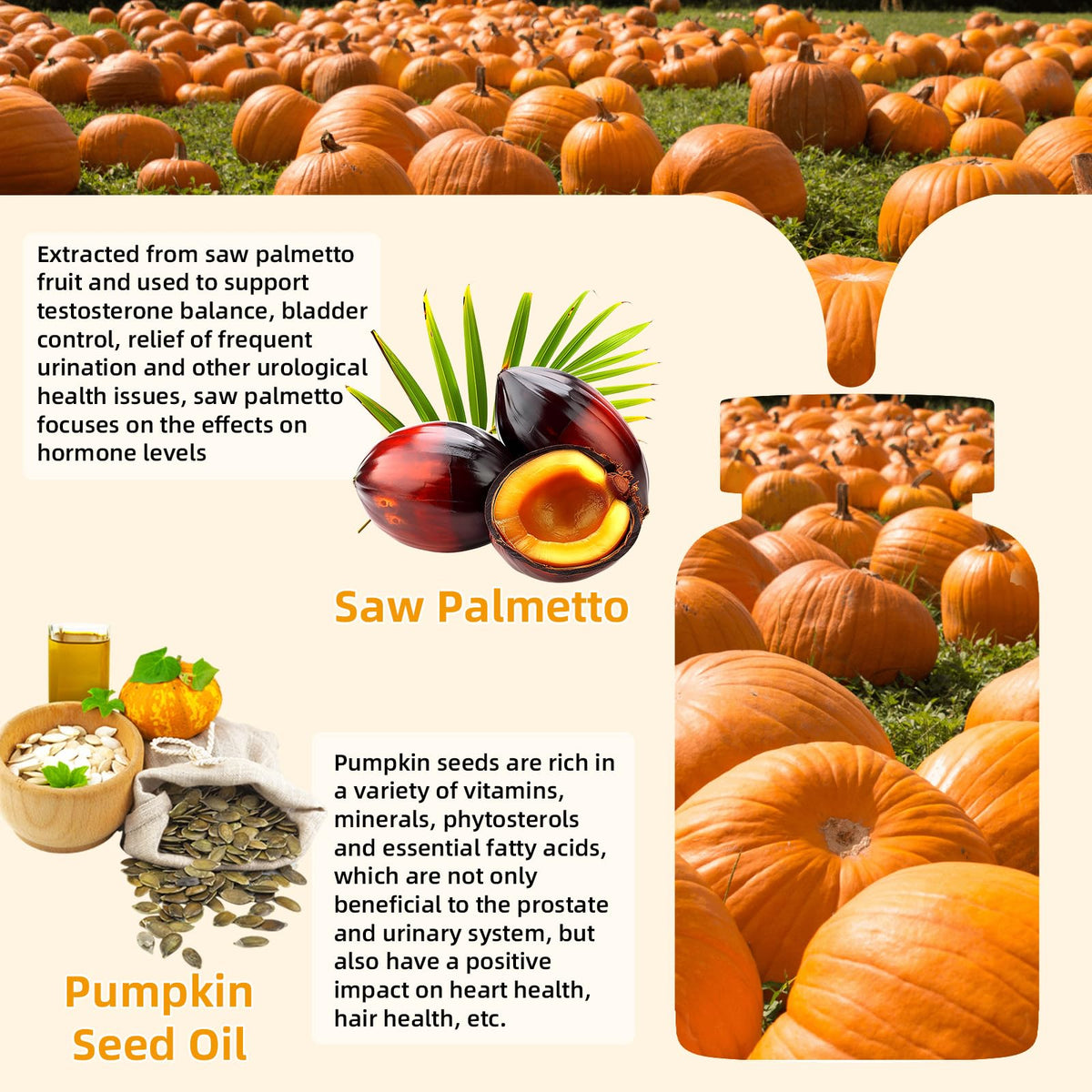 Whole food multivitamin for seniors